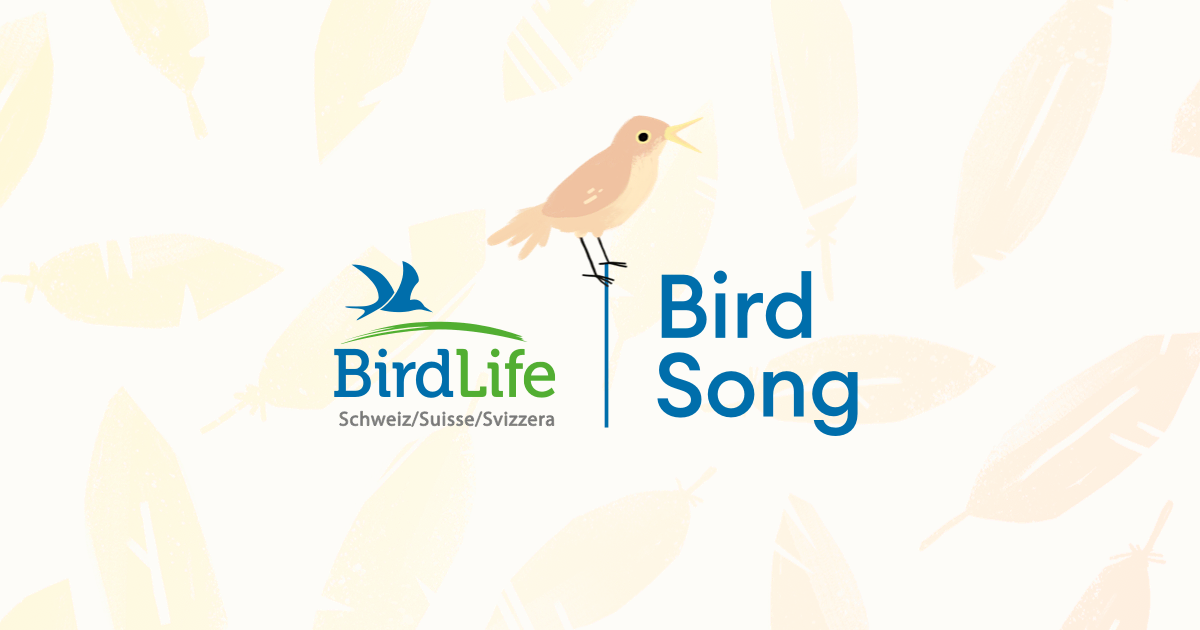 Bird-Song.ch – Bird-Song.ch